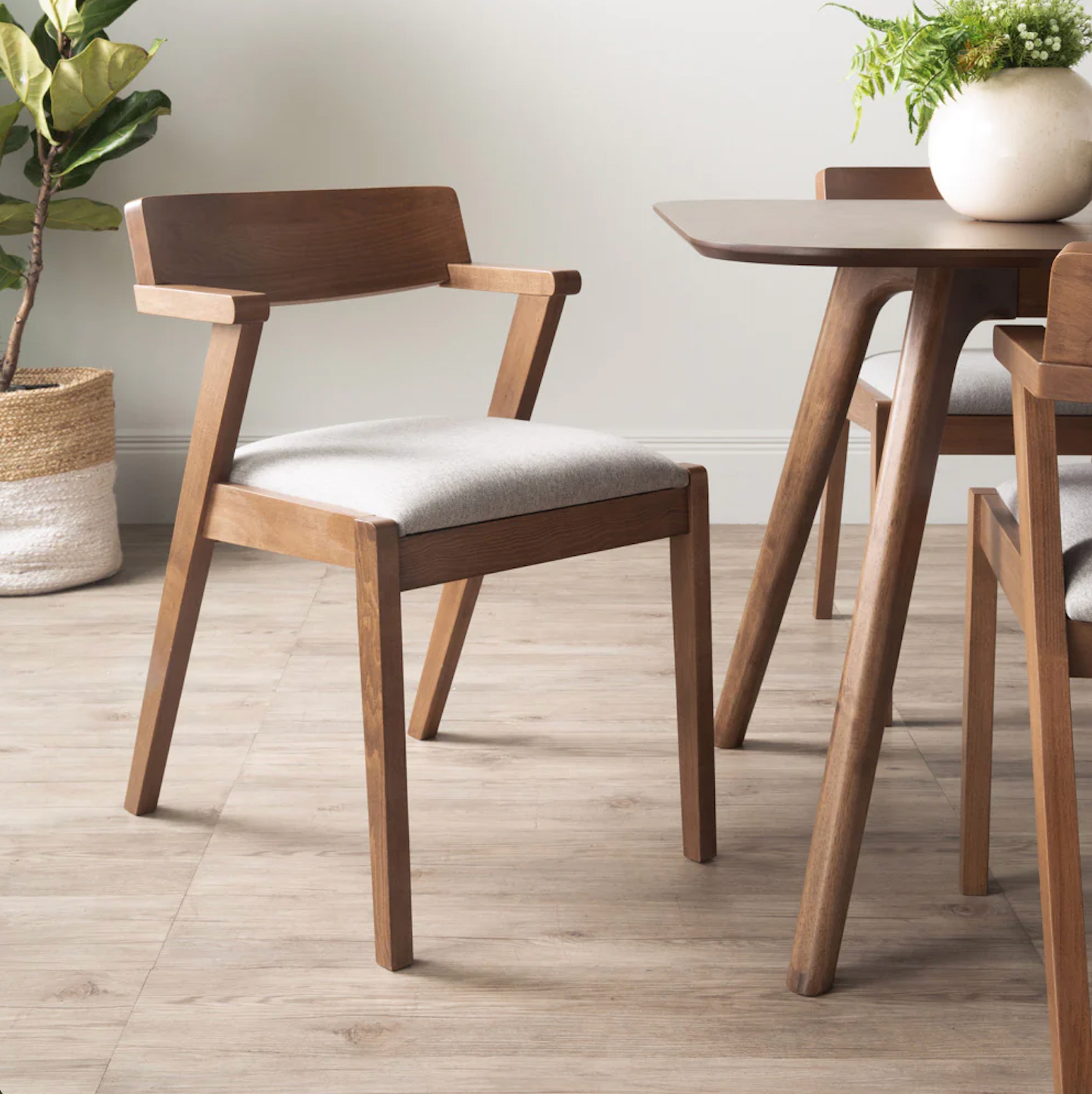 12 Types of Dining Chairs for Every Style – COZY Living